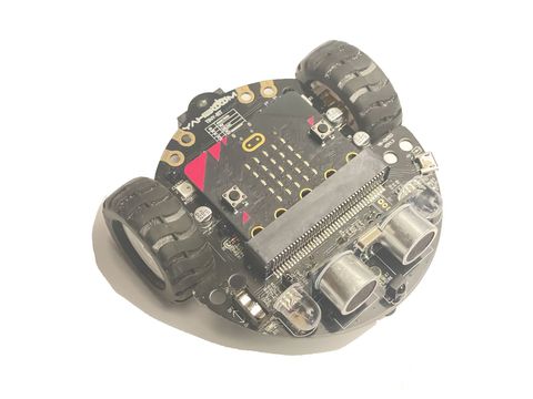 photograph of Tiny-Bit